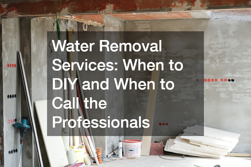 Water Removal Services: When to DIY and When to Call the Professionals ...