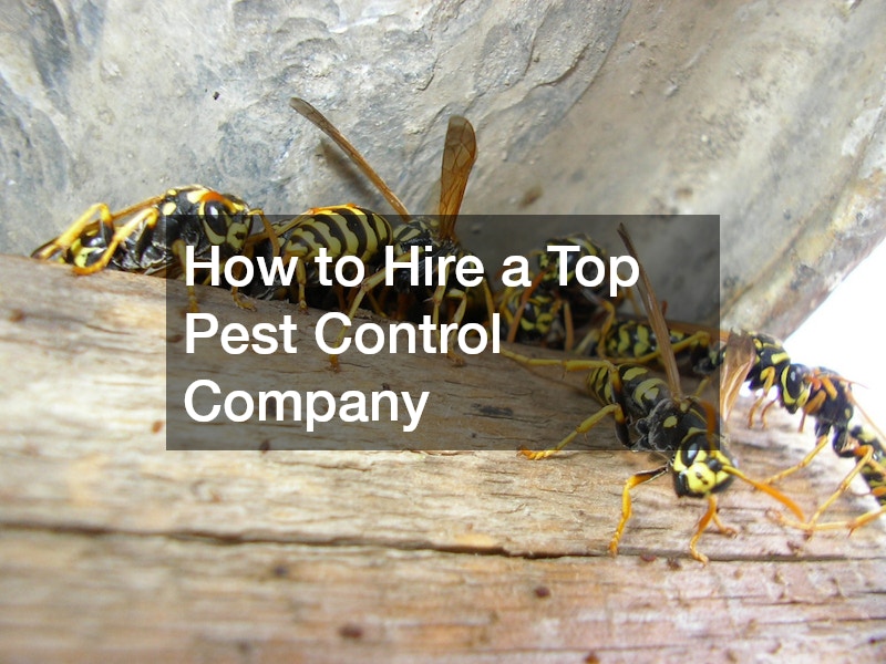 How to Hire a Top Pest Control Company - First Home Care Web